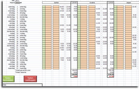 Iwan de Regt - Analist en excel-expert